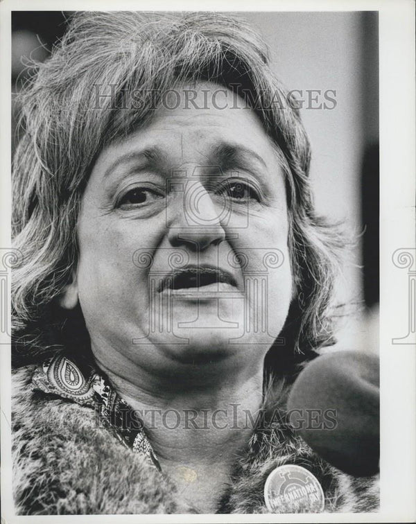 1975 Press Photo Betty Friedan Women's Movement Leader At Int'l Womens ...