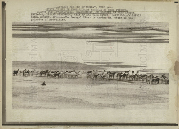 1973 Senegal River Water priorities Sahel - Historic Images