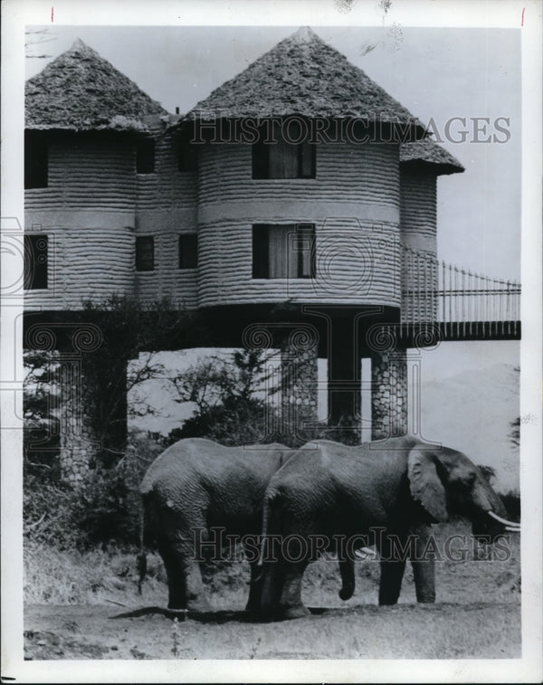 1974 Press Photo Animals roaming Kenya's Tsavo National Park - cvb2064 ...