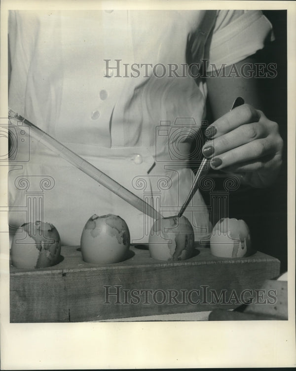 1957 Press Photo harvesting fluid from inoculated eggs to see if it ha ...