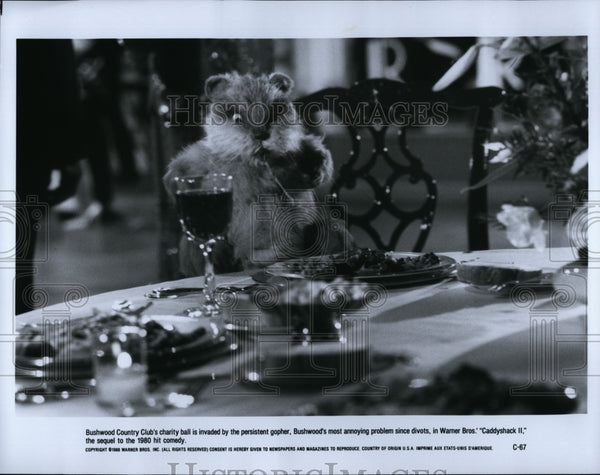 1988 Press Photo Bushwood Country Club Charity Ball Gopher Caddyshack ...