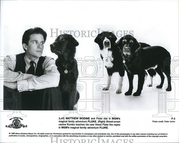 1995 Press Photo Matthew Modine and Fluke "Fluke" - Historic Images