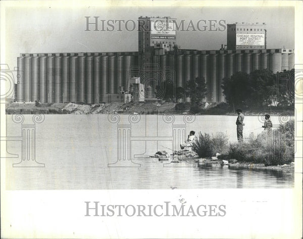 1981 Press Photo Nature Chicago Lake Calumet Region - RRV67705 ...