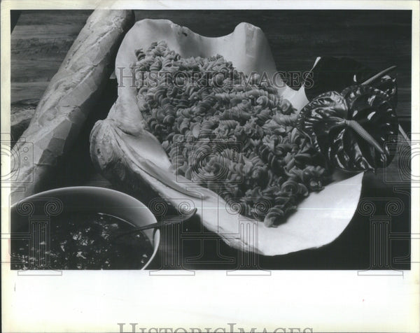 1984 Press Photo Diane Green Sharon Gale Rotini Seashel - Historic Images