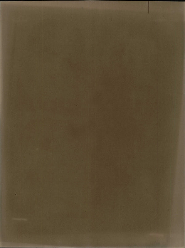 1973 Press Photo President & Mrs Nixon at Wedding of Dr & Mrs Walter ...