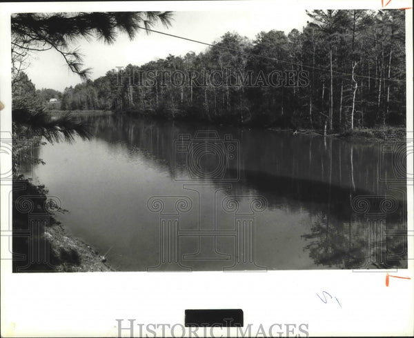 1978 Press Photo Alabama-View of Blue Lake area in southern Jefferson ...