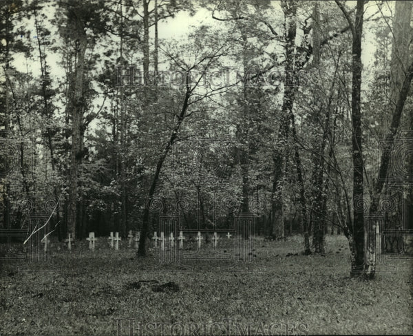 Press Photo Blakeley Cemetery, Alabama - Historic Images