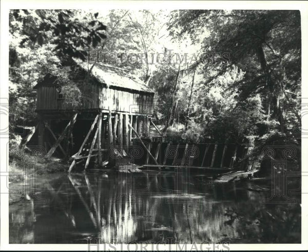 Press Photo Exterior view of Rikard's Mill, Alabama - Historic Images