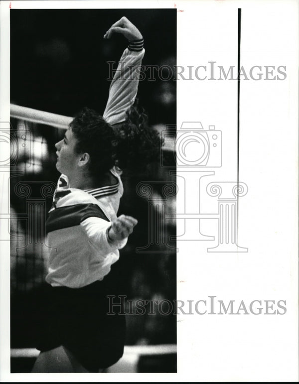 1990 Press Photo Elyria Filiaggi spikes the ball during the third game ...