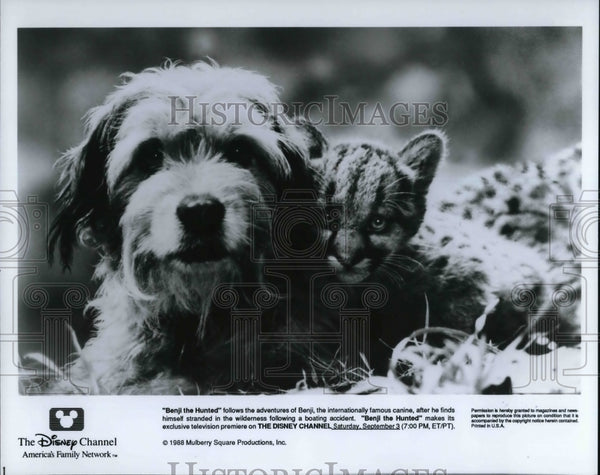 1988 Press Photo Scene from Benji the Hunted - cvp31094 - Historic Images