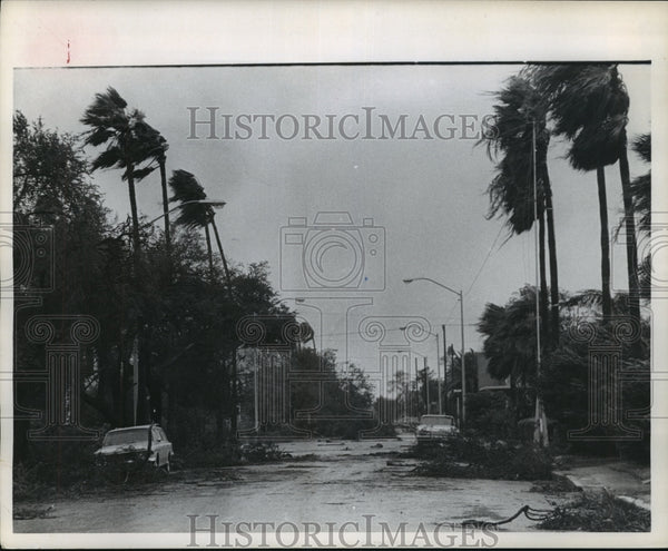 1967 Press Photo Street scene in Brownsville, TX after Hurricane Beulah ...