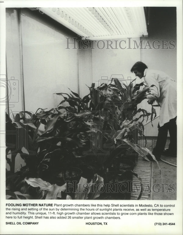 1985 Press Photo Shell scientist in a temperature controlled plant ...