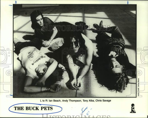 1990 Press Photo Members of the Band The Buck Pets - hcp11409 ...