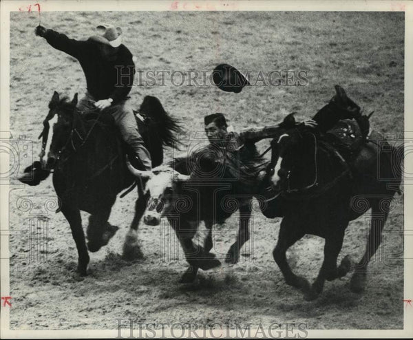 1963 Press Photo Donnie Johnson wrestles steer - Houston Livestock Show ...