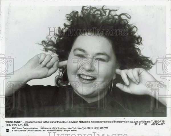 1988 Press Photo Roseanne Barr stars on "Roseanne," on ABC Television ...