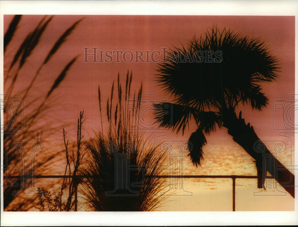 1990 Press Photo Sunset Viewed From Mississippi Beach - Historic Images