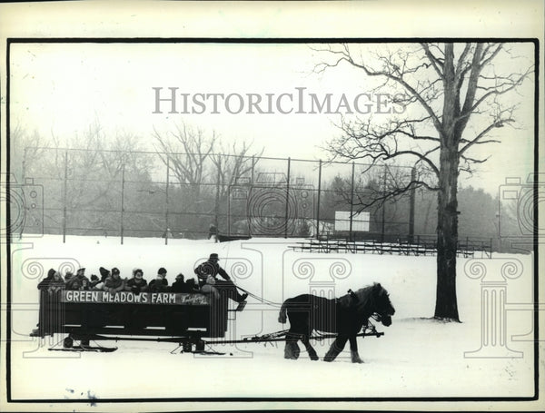 1984 Press Photo Old Fashioned Sleigh Ride at Brookfield's Winter ...
