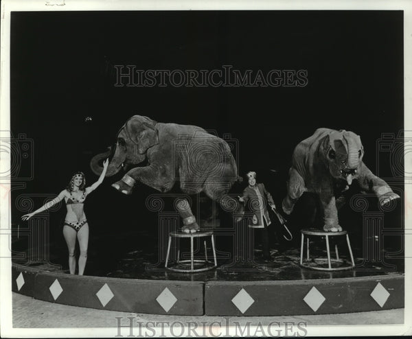1974 Press Photo Hawthorne's performing circus elephants in the center ...