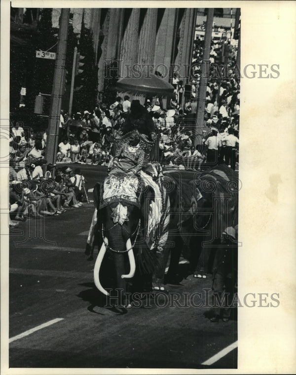1973 Press Photo Mrs. Robert A. Uihlein Jr. Riding Tommy the Elephant ...