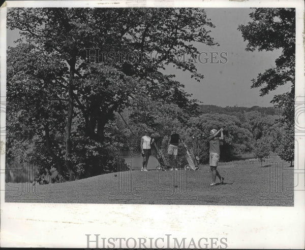 1970 Press Photo Public Golf Course, Whitnall Park, Milwaukee ...