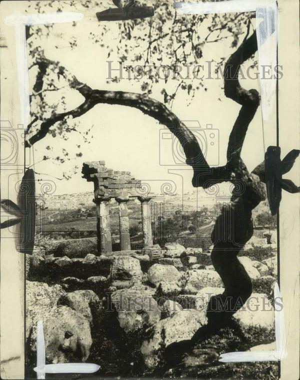 1925 Press Photo Ruins of Temple of Castor and Pollux beneath almond ...