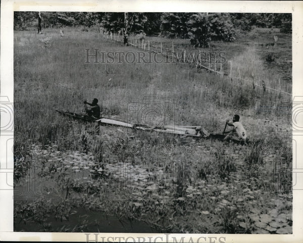1943 Press Photo Caribbean Natives Paddle Canoe Through Inland ...