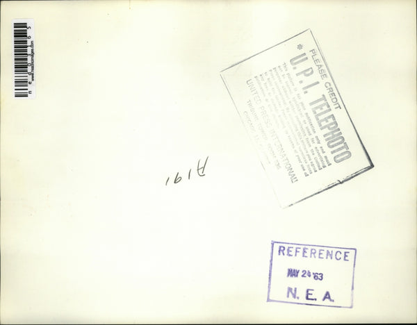 1963 Press Photo Neenah Wis Louis Herziger Jr & tomato plants covered ...