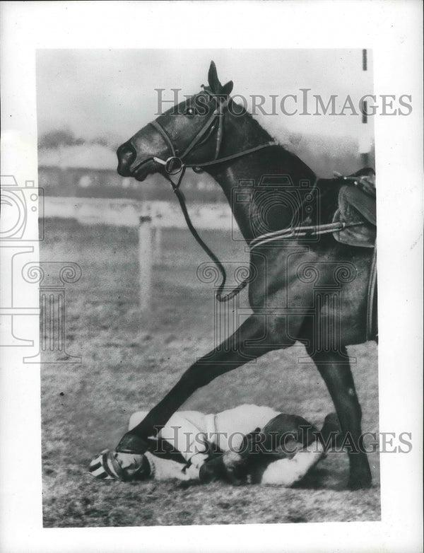 1963 Press Photo Mikardo II almost steps on thrown jockey Charley Guest ...