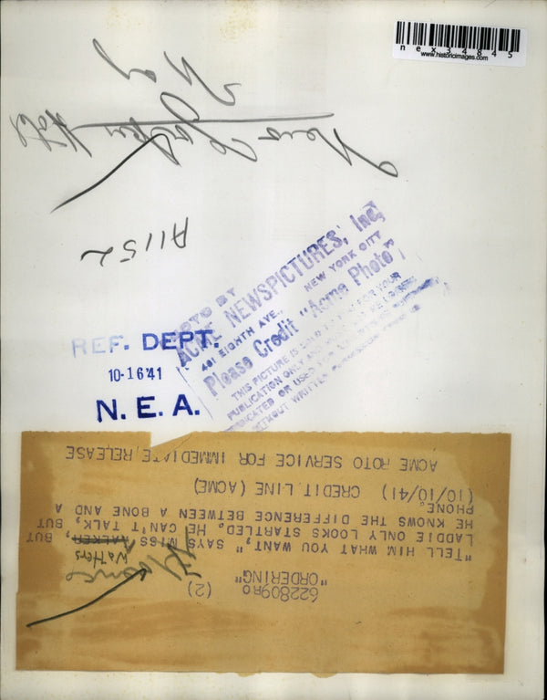 1941 Press Photo Florence Walters & Pet Dog "Laddie" Using Telephone ...