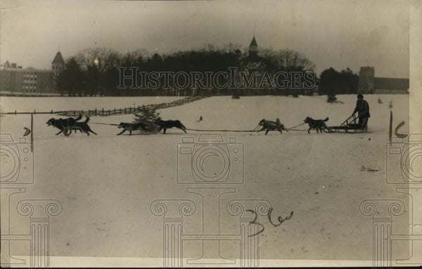 1926 Press Photo Philip Malloy and his dog team at start of Dog Derby ...
