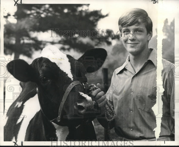 1971 Press Photo Good Provider winner Ken Bonnette with his cow ...