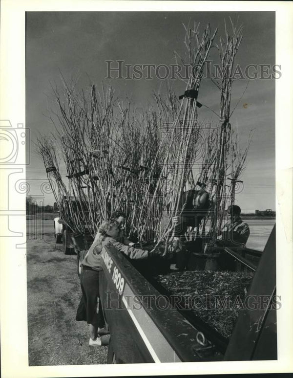 1992 Press Photo Preparations for planting of trees along Paris Road ...