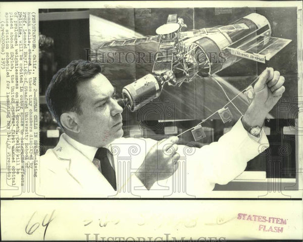 1973 Press Photo Professor Leonard Hayflick prepares human cells for ...