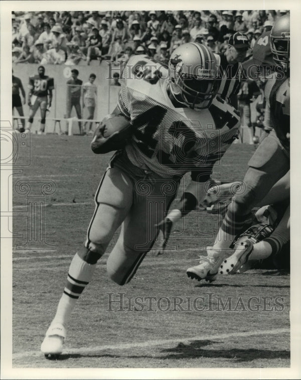 1984 Press Photo Gary Anderson, Football Player at Game - nos02793 ...