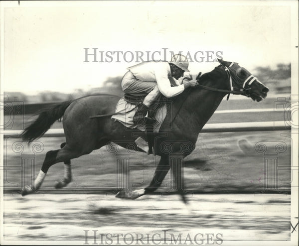 1969 Press Photo Irish Dude with Jimmy Nichols up - nox00959 - Historic ...