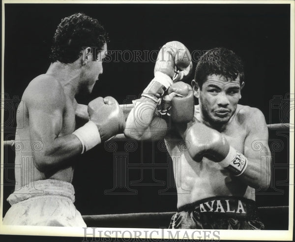 1986 Press Photo Boxers Aaron Lopez and Mike Ayala in the Ring ...