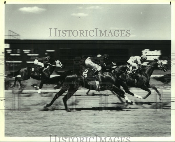 1993 Press Photo Race Horses and Jockeys Race at Bandera Downs Track ...