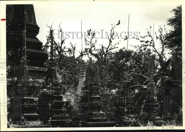 1981 Press Photo Two bats landing in trees surrounding Pom Wa Hat wat ...
