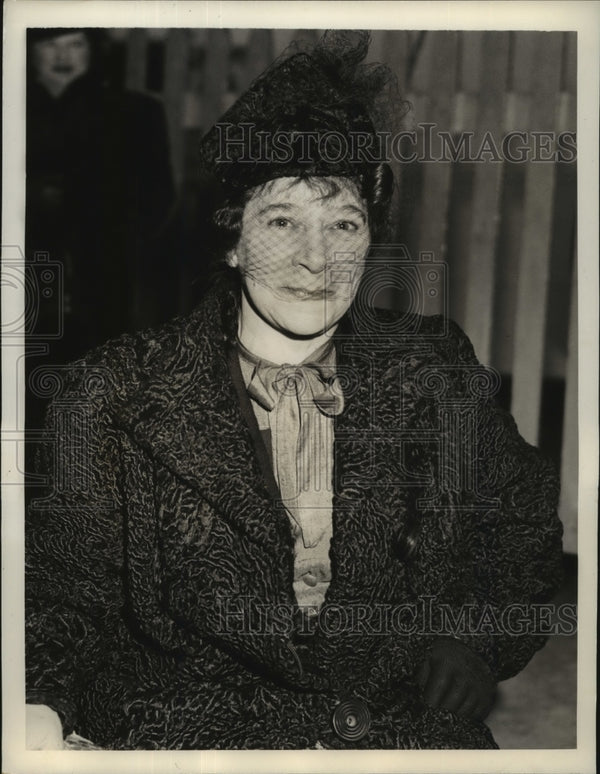 1930 Press Photo Mrs. Mimi Heinemann, famous art Connoisseur arrives ...