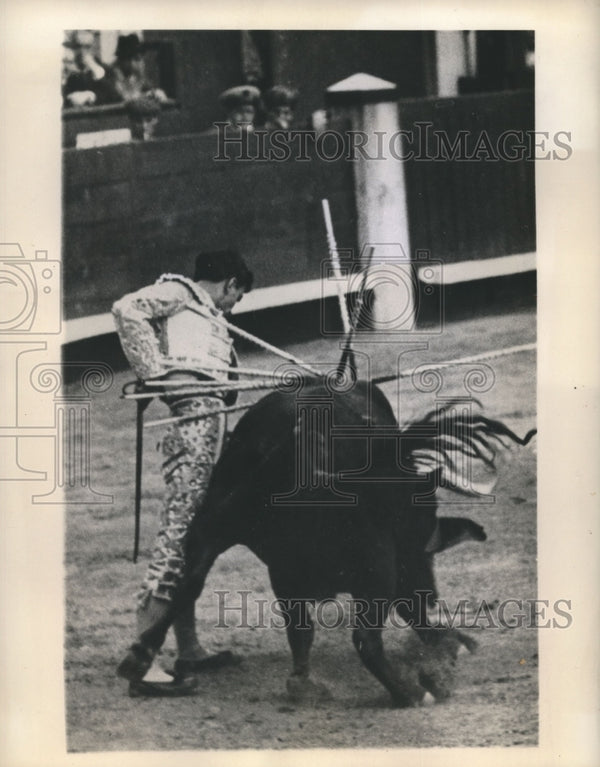 San Antonio Express-News Tagged "Bull Fighting / Rodeo" - Historic Images
