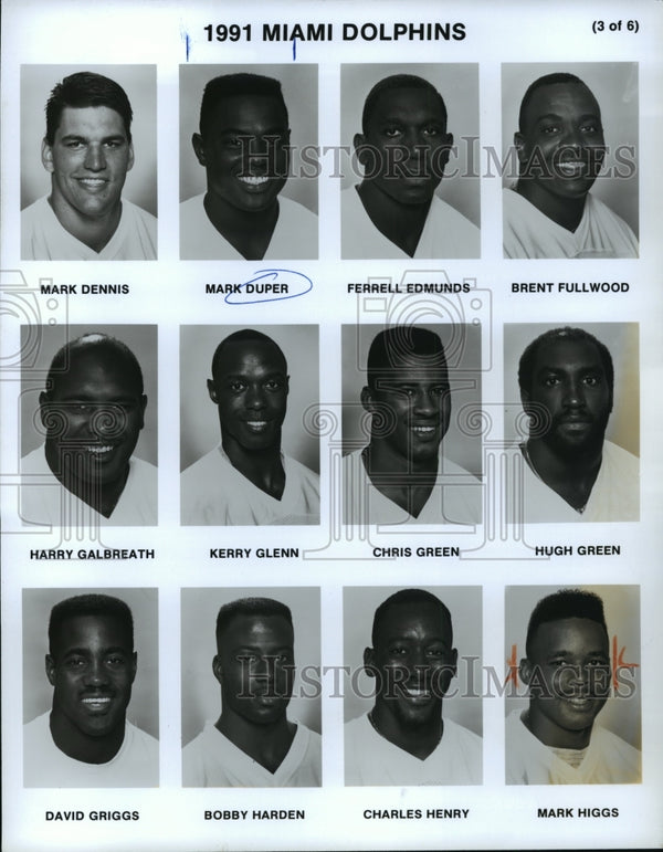 1991 Press Photo Football Pro Group 1991 Miami Dolphins - spa33169 ...
