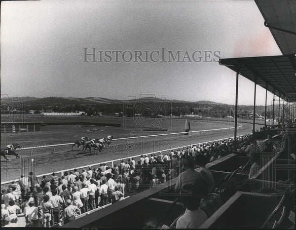 1970 Press Photo A view of an ongoing horse race at Playfair Race Trac ...