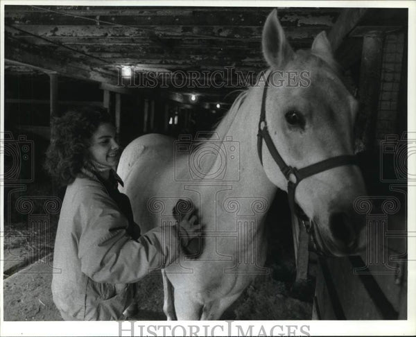 1988 Press Photo Ali DeRosa brushes horse, Silver in Barn in Marcellus ...