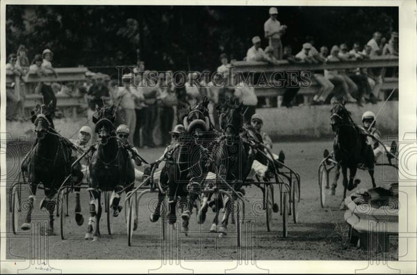 Press Photo Spectators watch Horse Harness Race, Syracuse Mile ...