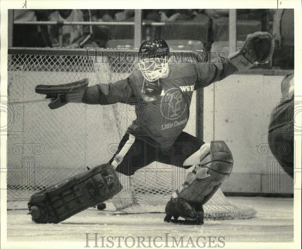 1988 Press Photo Syracuse hockey goalie Wayne Mahar in action ...