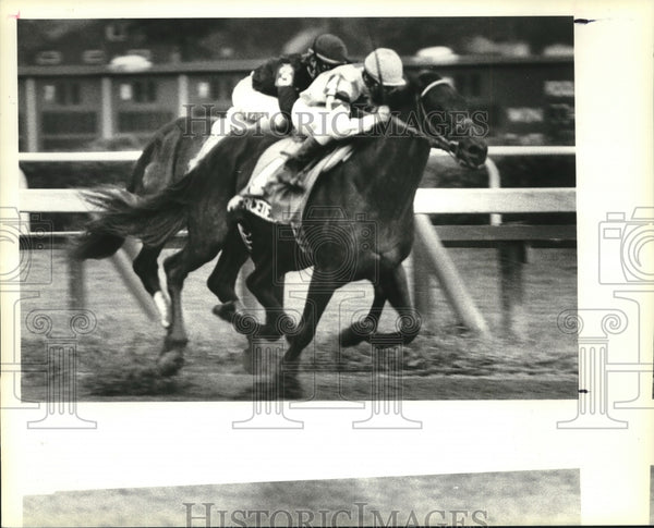 1988 Press Photo #4 Mercedes Won with Robbie Davis up wins Hopeful ...