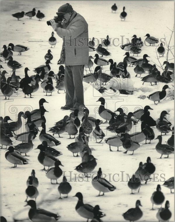 Ray Weber photographed ducks Thiensville Village Park Wisconsin, 1986 ...