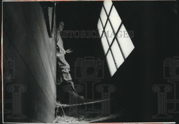 Lisa Hartzheim, Univ. of WI-Stevens Point, ag barns, Madison, 1994 ...