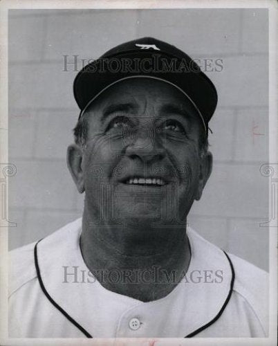 Anthony Francis Tony Cuccinello 1967 Vintage Press Photo Print ...