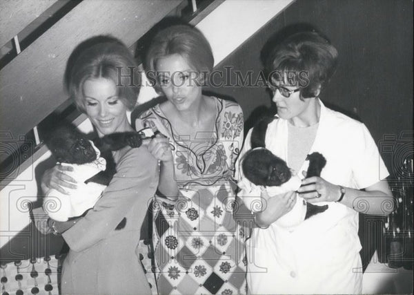 Famous Kessler Twins Adopt Gorilla Twins 1967 Vintage Press Photo Print ...